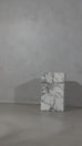 Arabescato Marble Plinths | Shop The Entire Collection